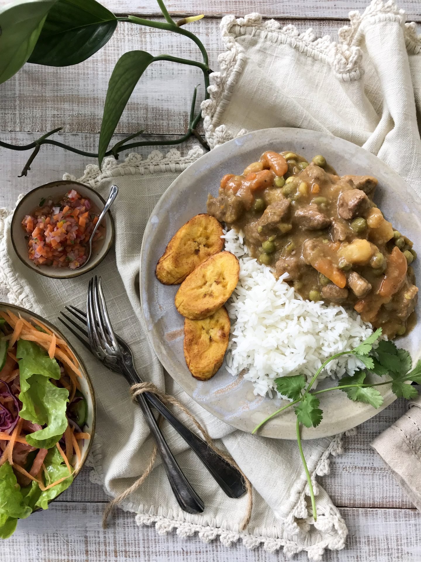 Estofado de Carne Ecuatoriano – Confieso que Cocino